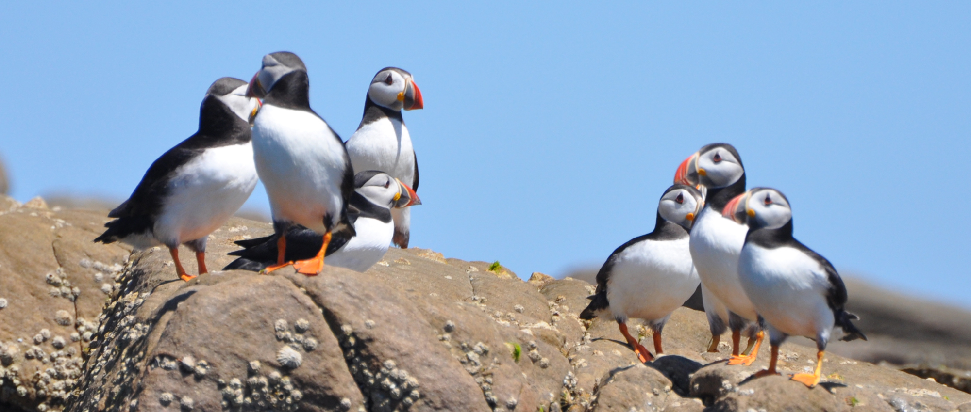 Inspire | Visit Alderney, Channel Islands