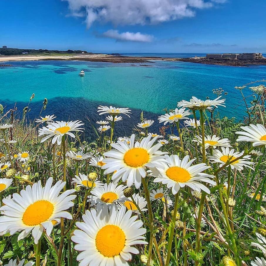 Visit Alderney | Your Island Adventure Starts Here