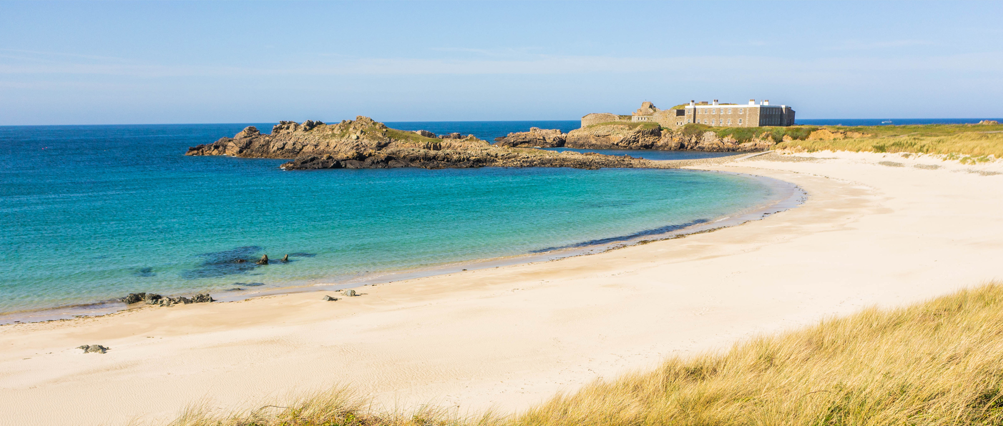 Meet the Puffins of Burhou | Visit Alderney, Channel Islands